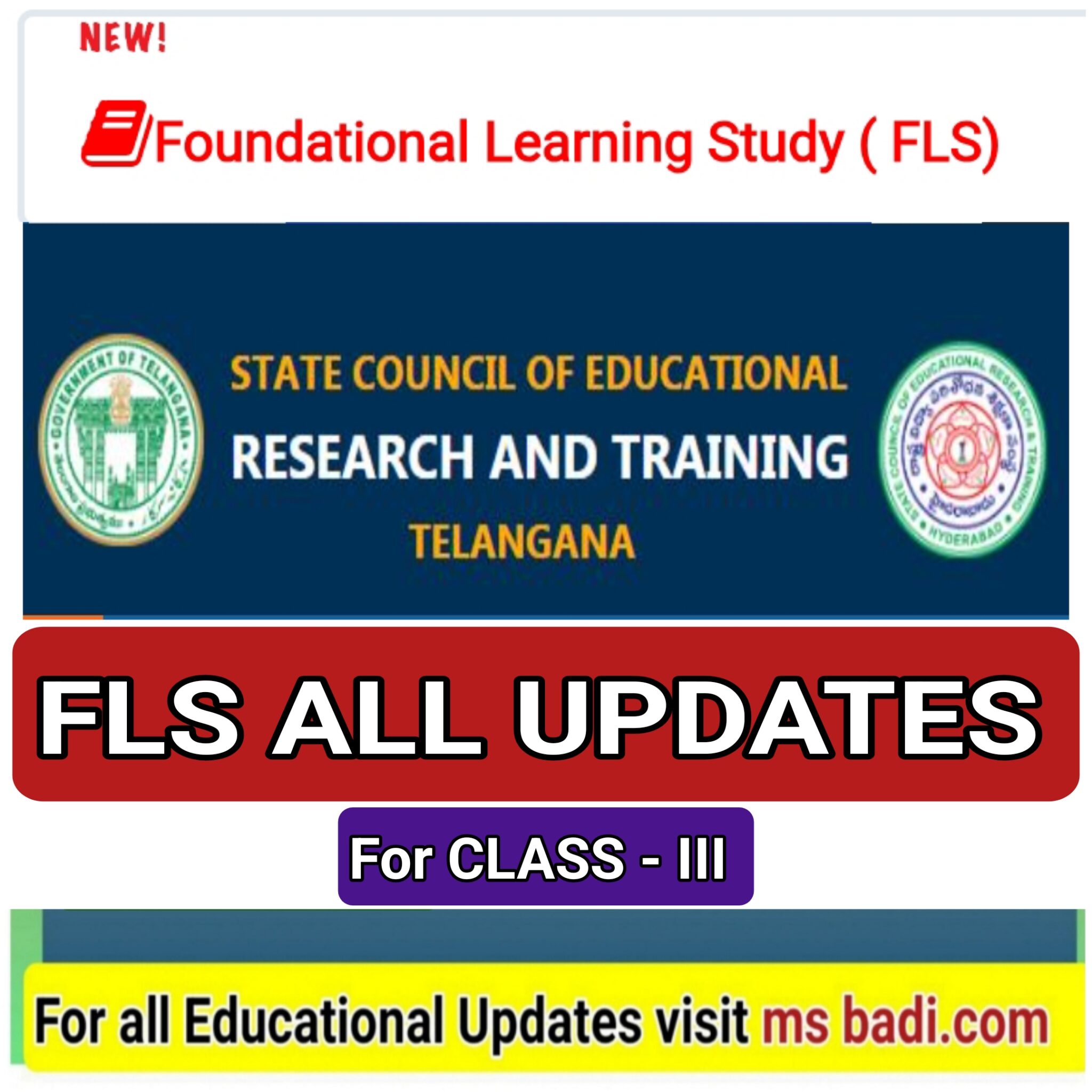 FOUNDATIONAL LEARNING STUDEY FLS UPDATES - MS Badi